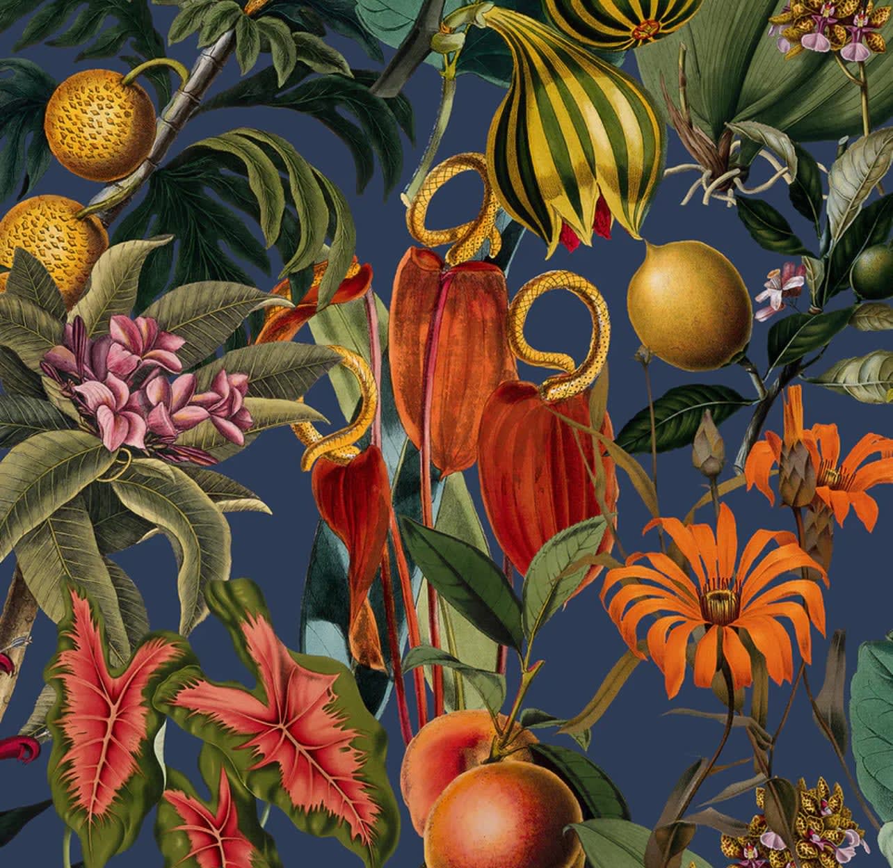 ENOMAH 1895 | Asian-Soul Fusion Restaurant Experience in Metro Detroit