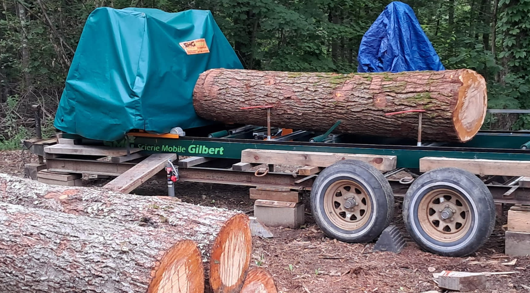 Fisher Family Farm & Sawmill | Tree Service in Northfield