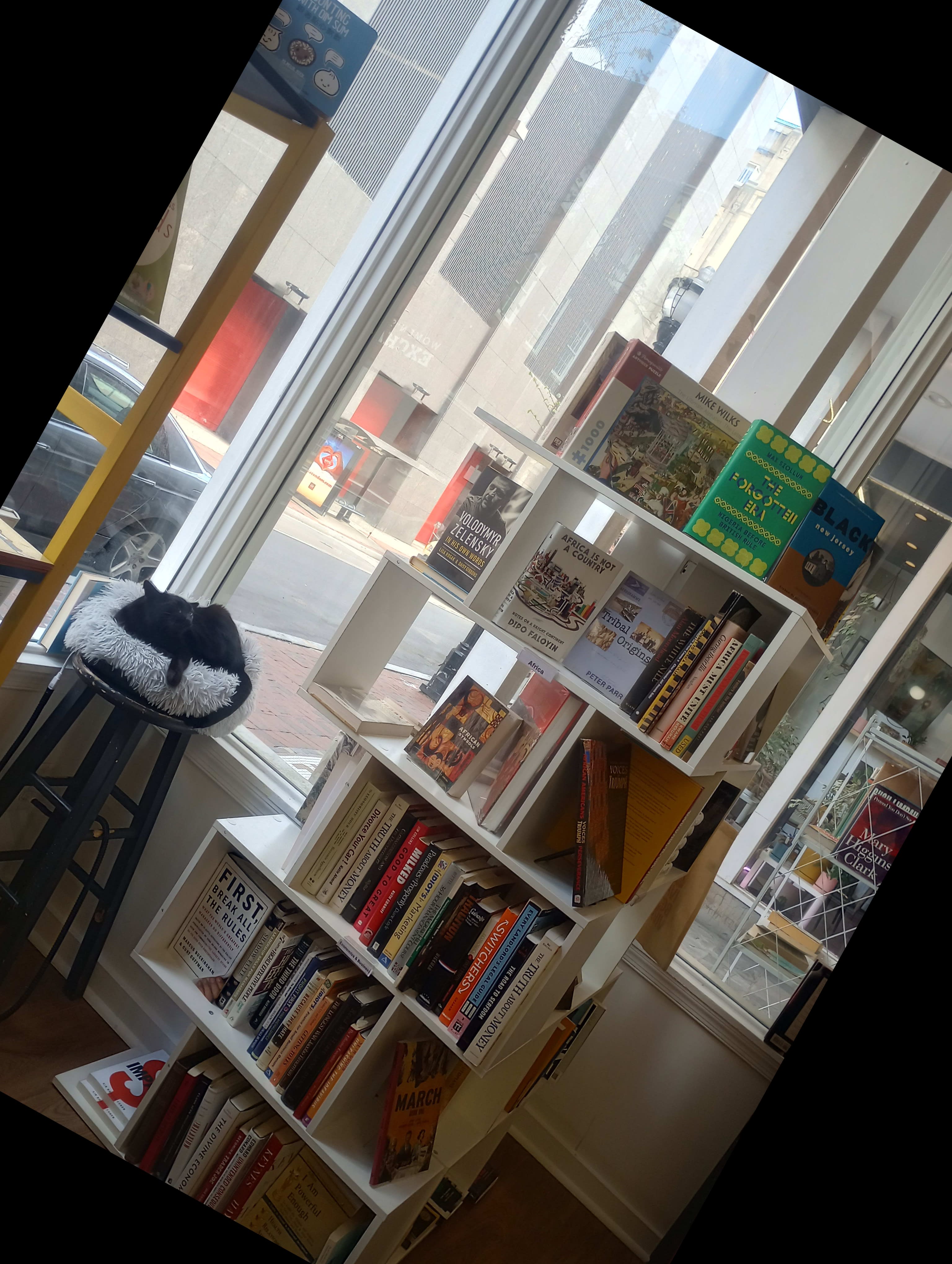 Viva Books | Book Store - Baltimore