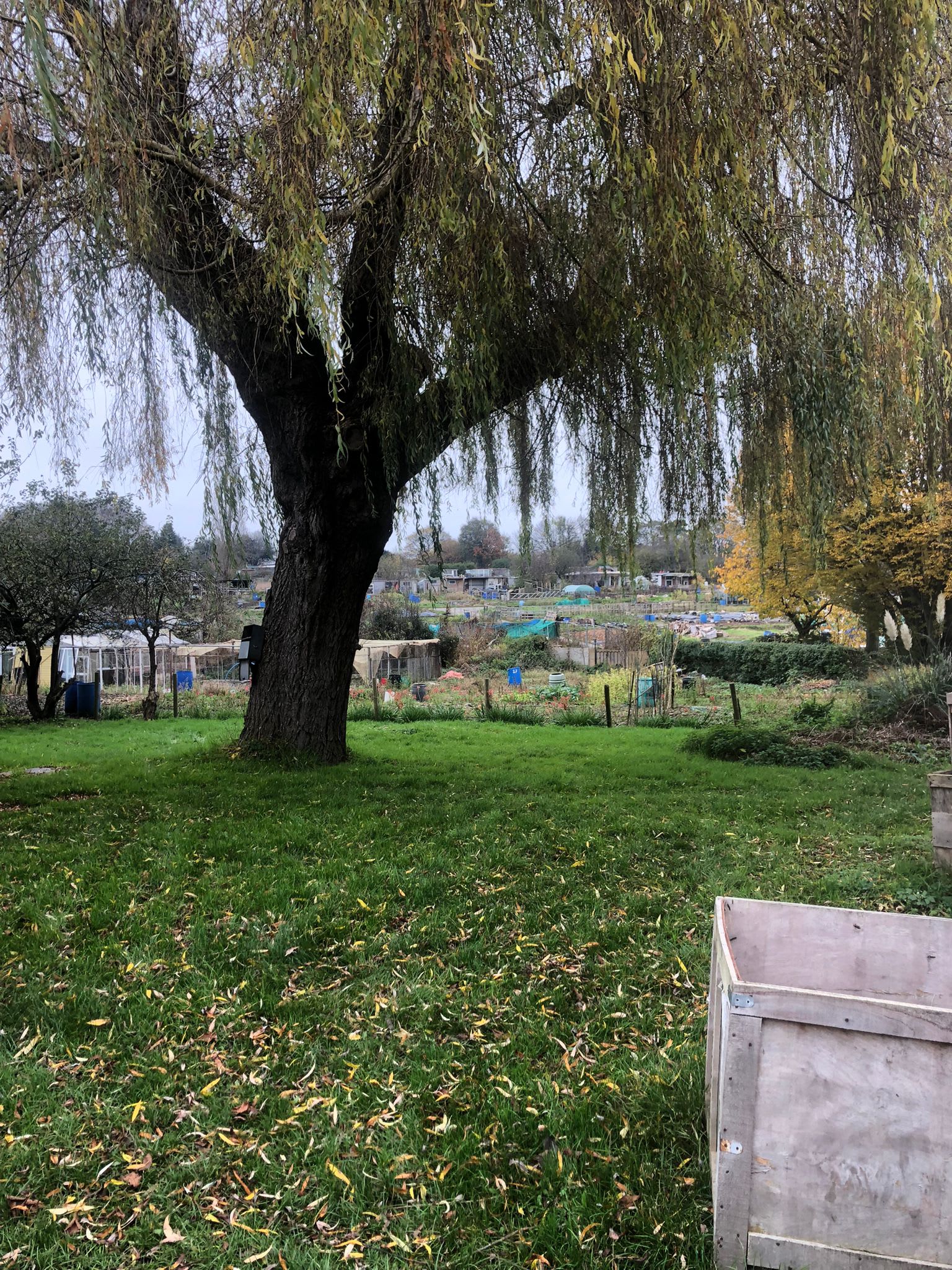 Storytelling Orchard- Gardening Project - Our Impact - With Nature in ...