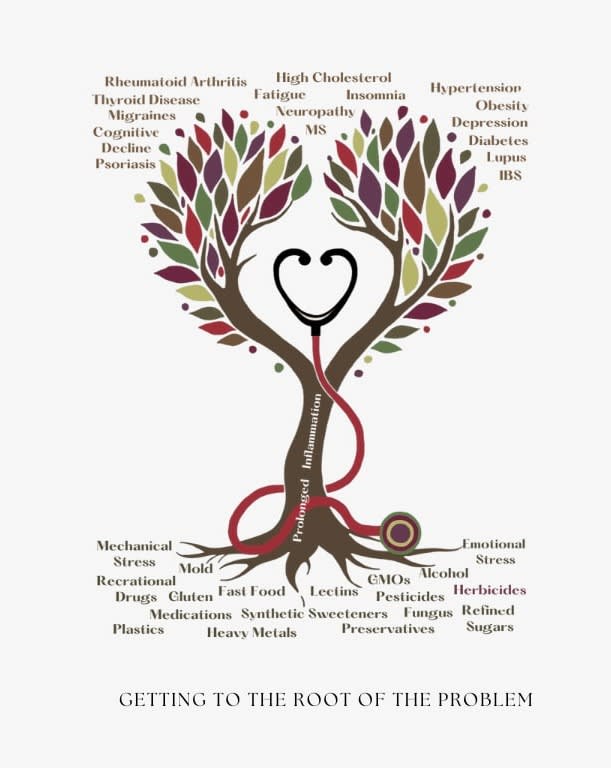 Functional Medicine - Functional Medicine - Tree Haven Healthcare ...