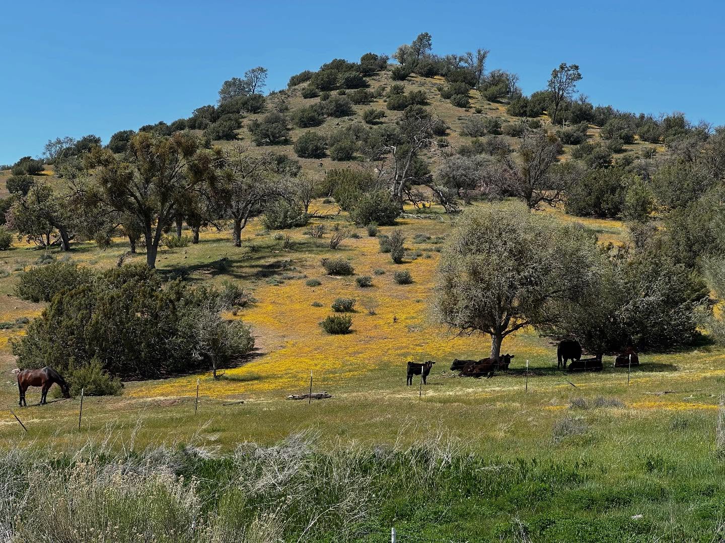 Golden Ranch Estates | Property Management | Caliente, CA