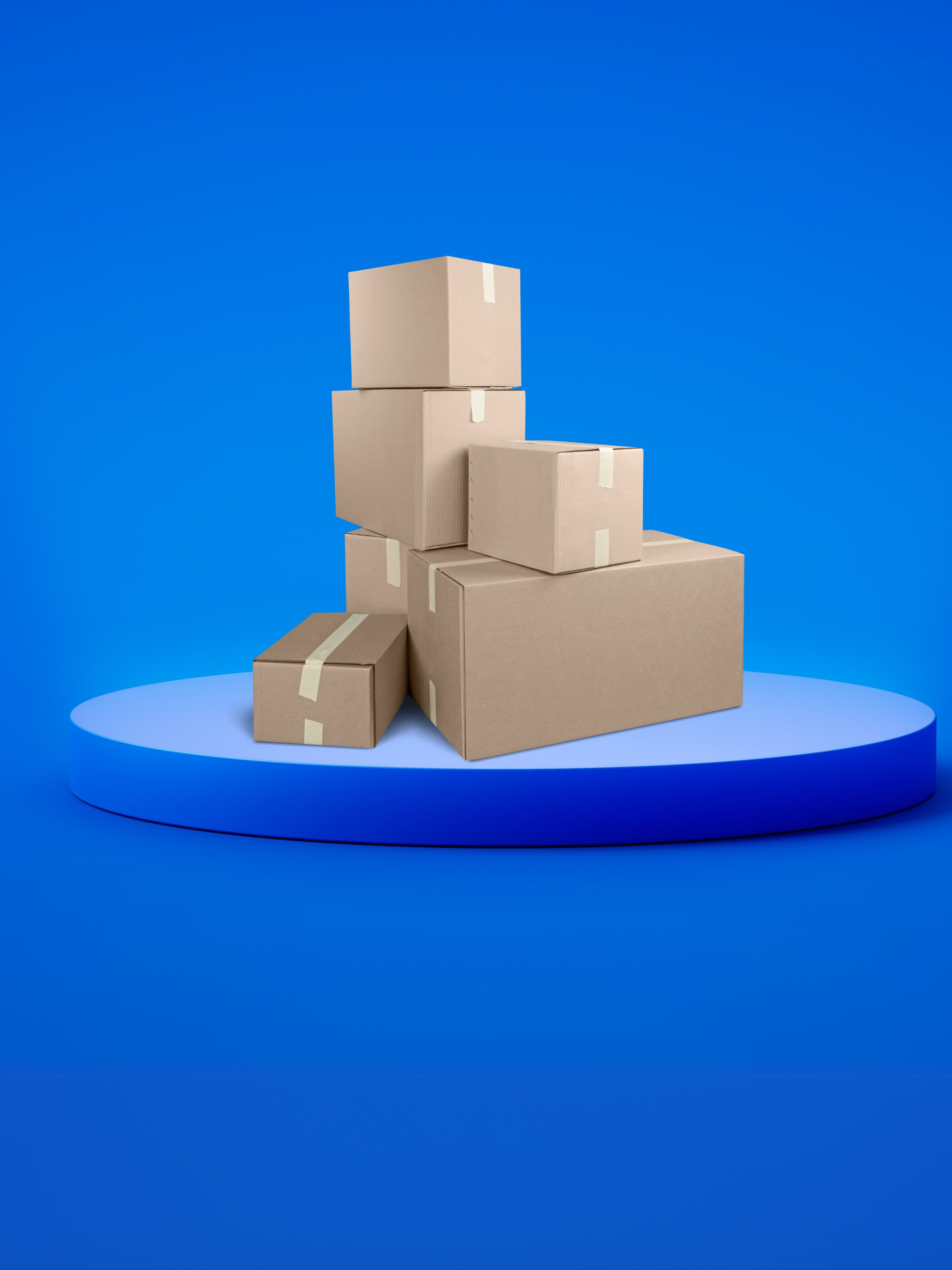 Premium Moving Boxes Kit - Transportation Accessories - Valley of the ...