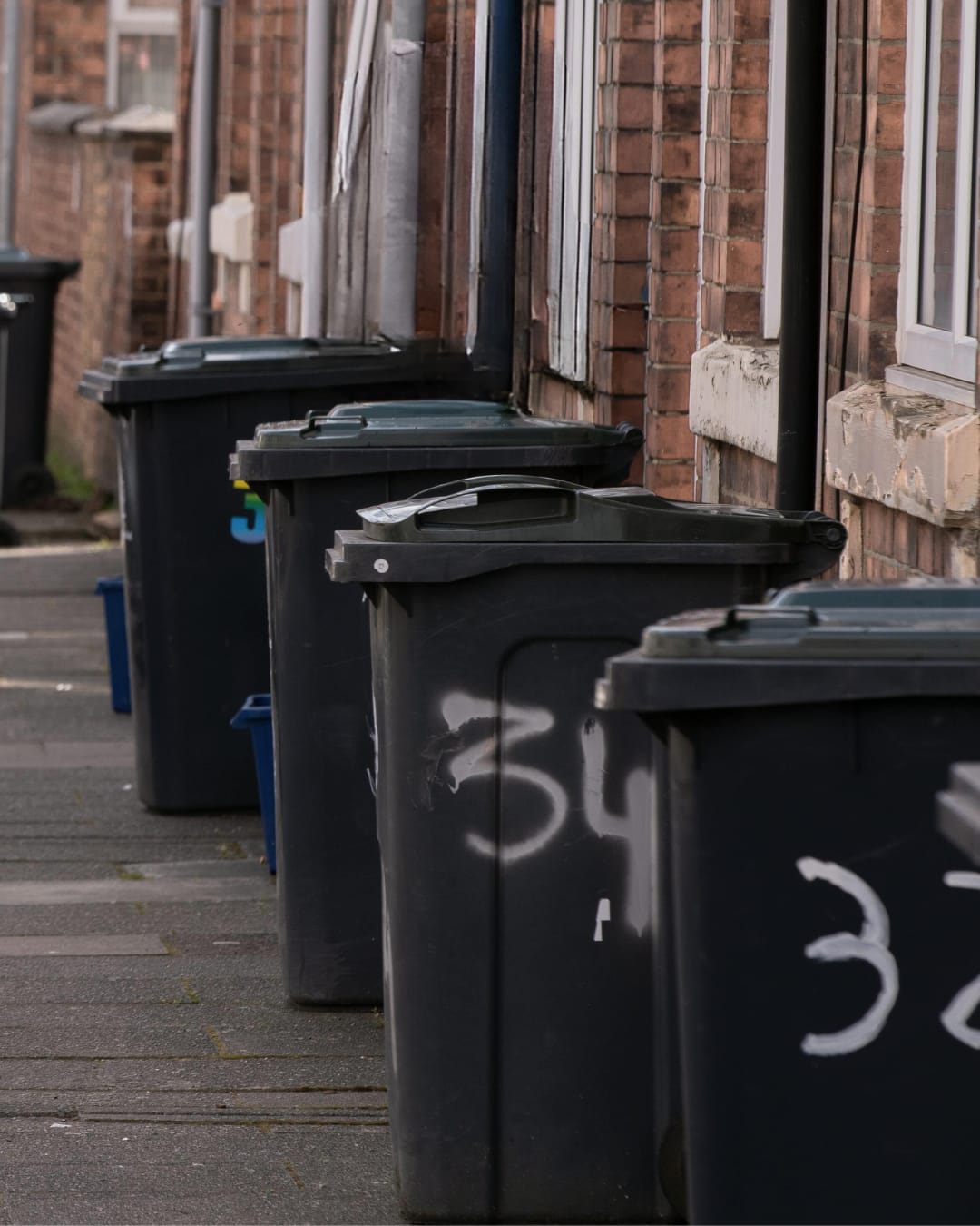 One-Time Cleaning - Trash Bin Cleaning Plans - Filthy Clean Bins LLC ...