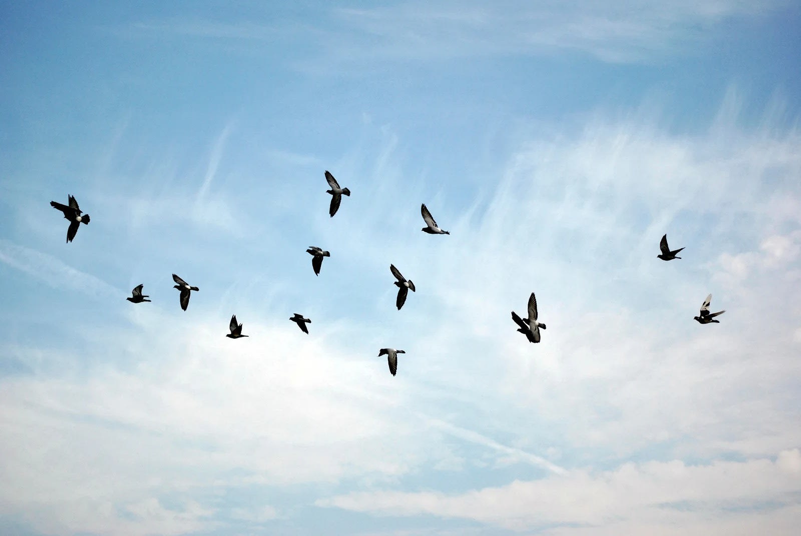 Free2BU Therapeutic Services | Therapy | Fayetteville, North Carolina