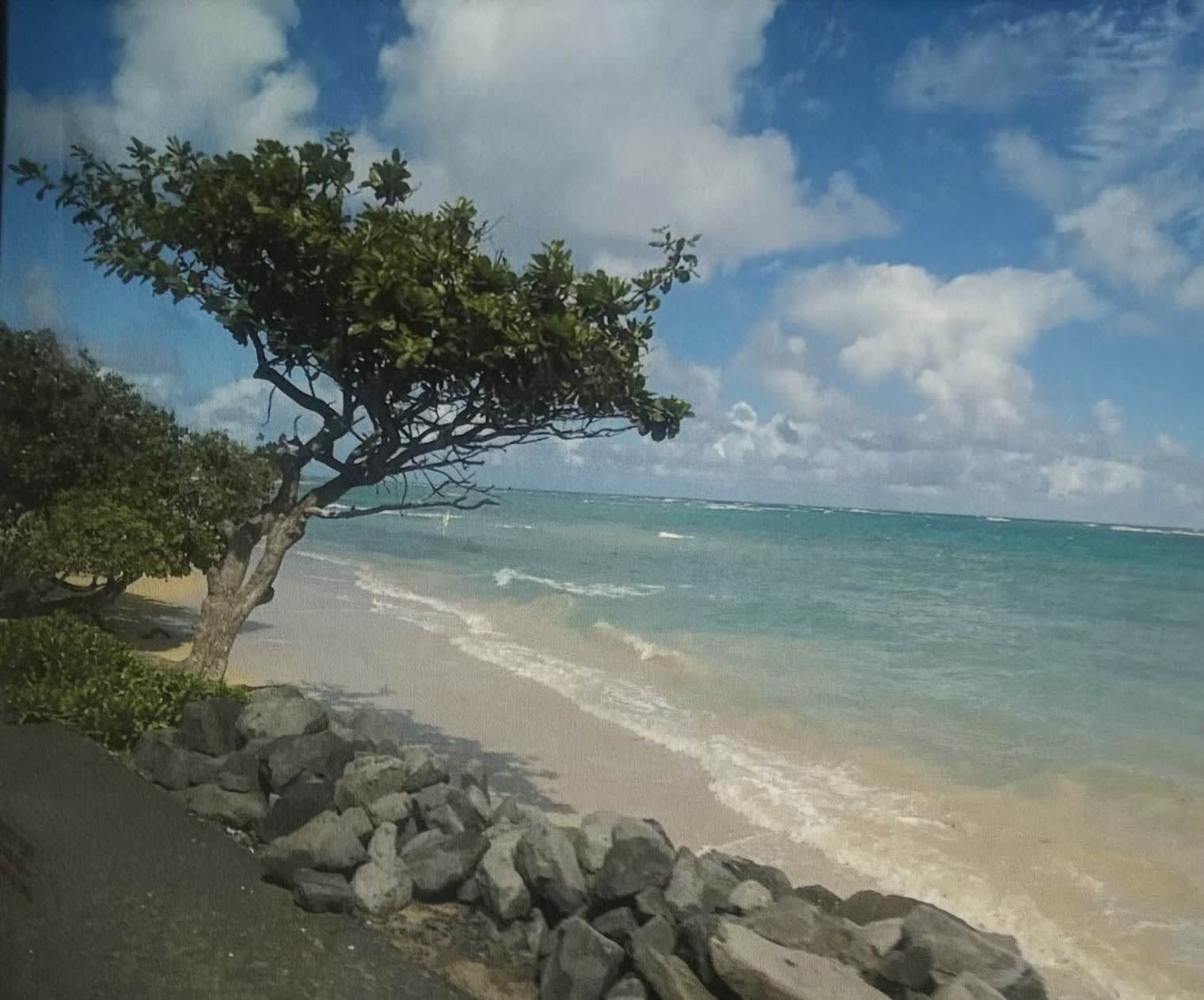 Diamond Head - Landscape - The Dream Merchant | Fine Art Broker in Prescott