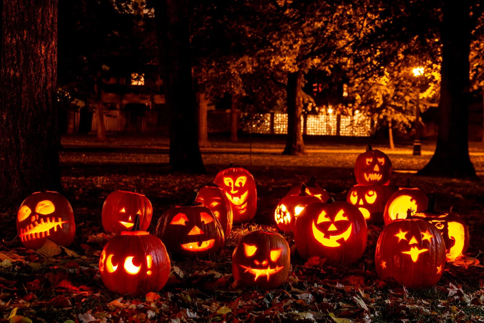 Kid Friendly Haunted House Reno 2025 | BooVille & Macabre Manor