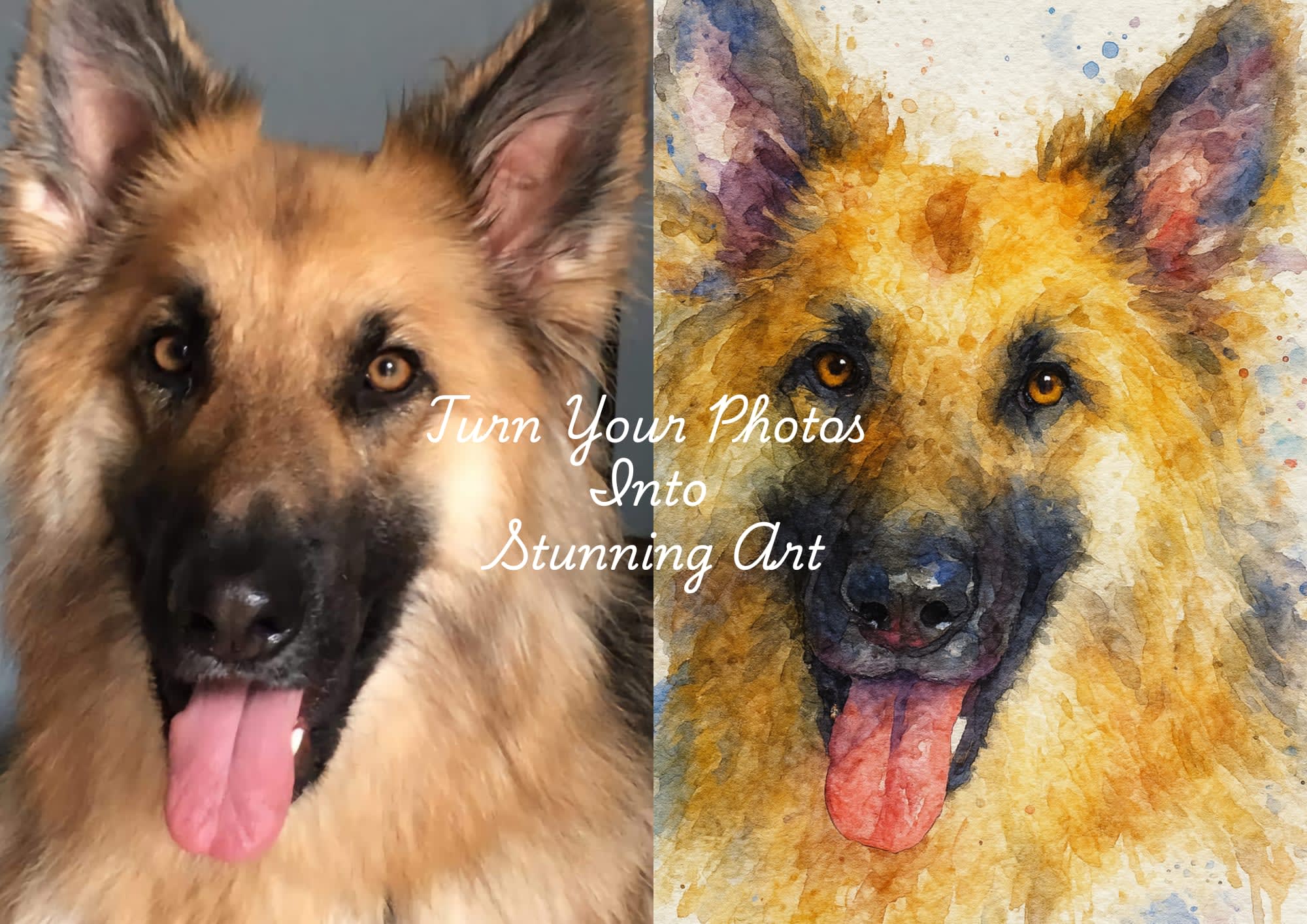 DigiPrint Designs, LTD | Custom Digital Wall Art from Your Favorite Photos