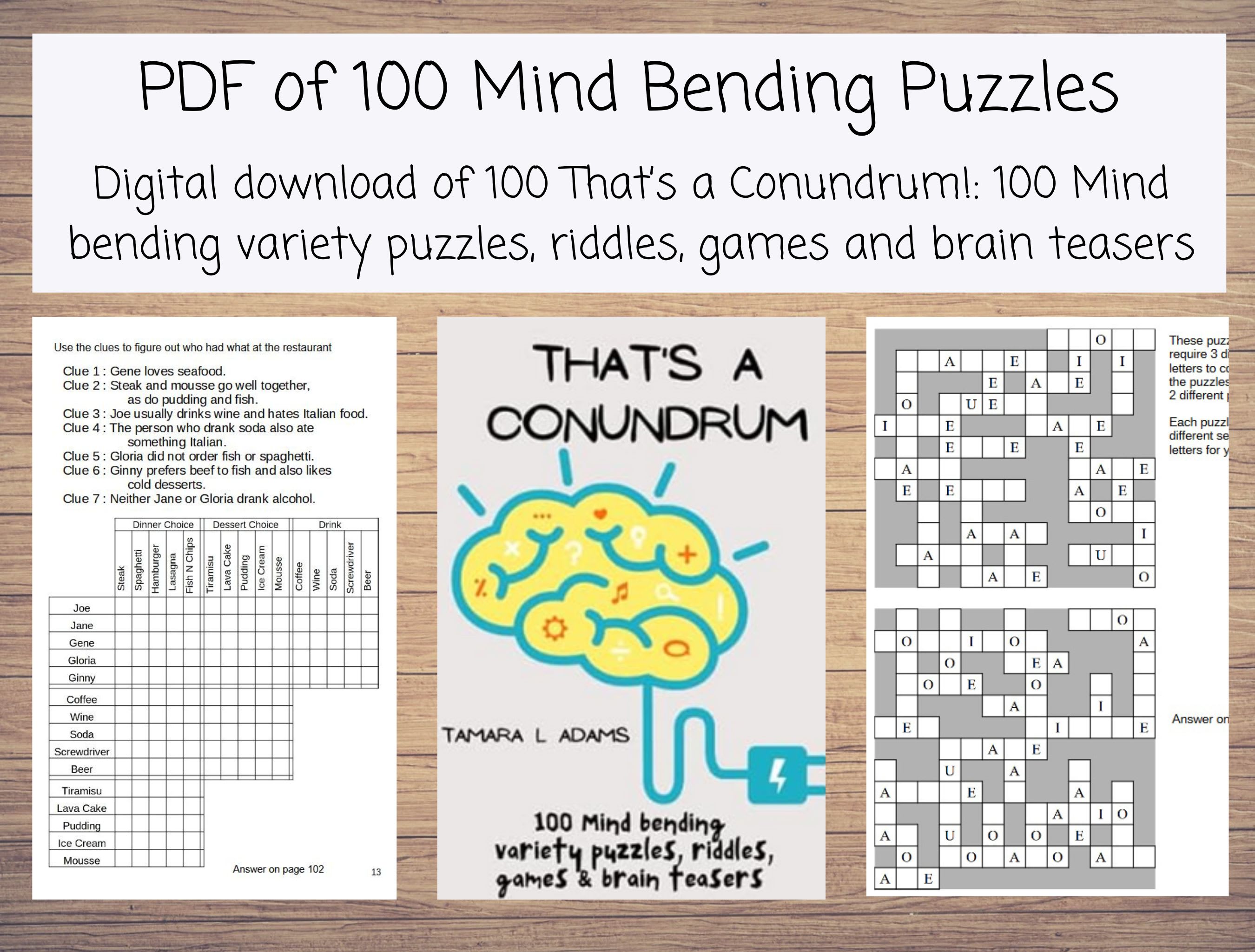 That’s a Conundrum!: 100 logic variety puzzles, riddles, games and ...