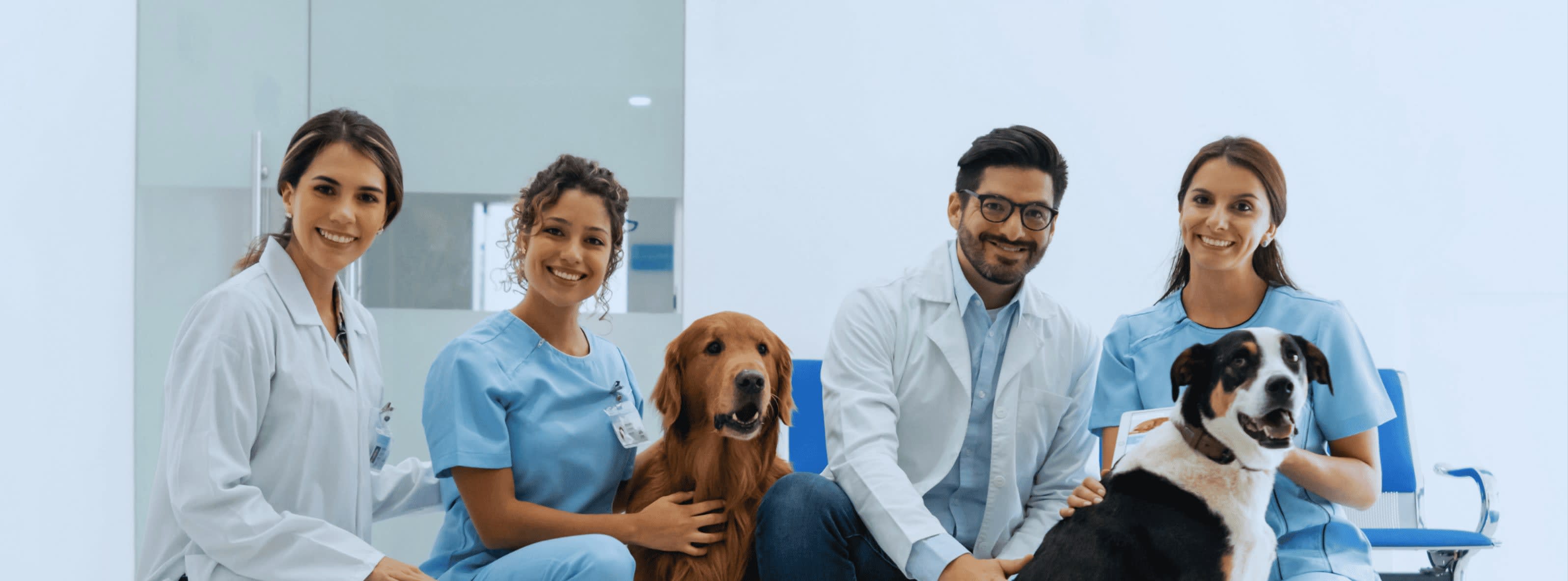 VIBE Vet | Veterinary Non-Profit Advocacy Association | Wilmington,DE