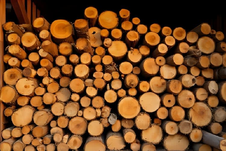 Oak Cooking Wood - Cooking Wood - East Texas Firewood - Firewood ...