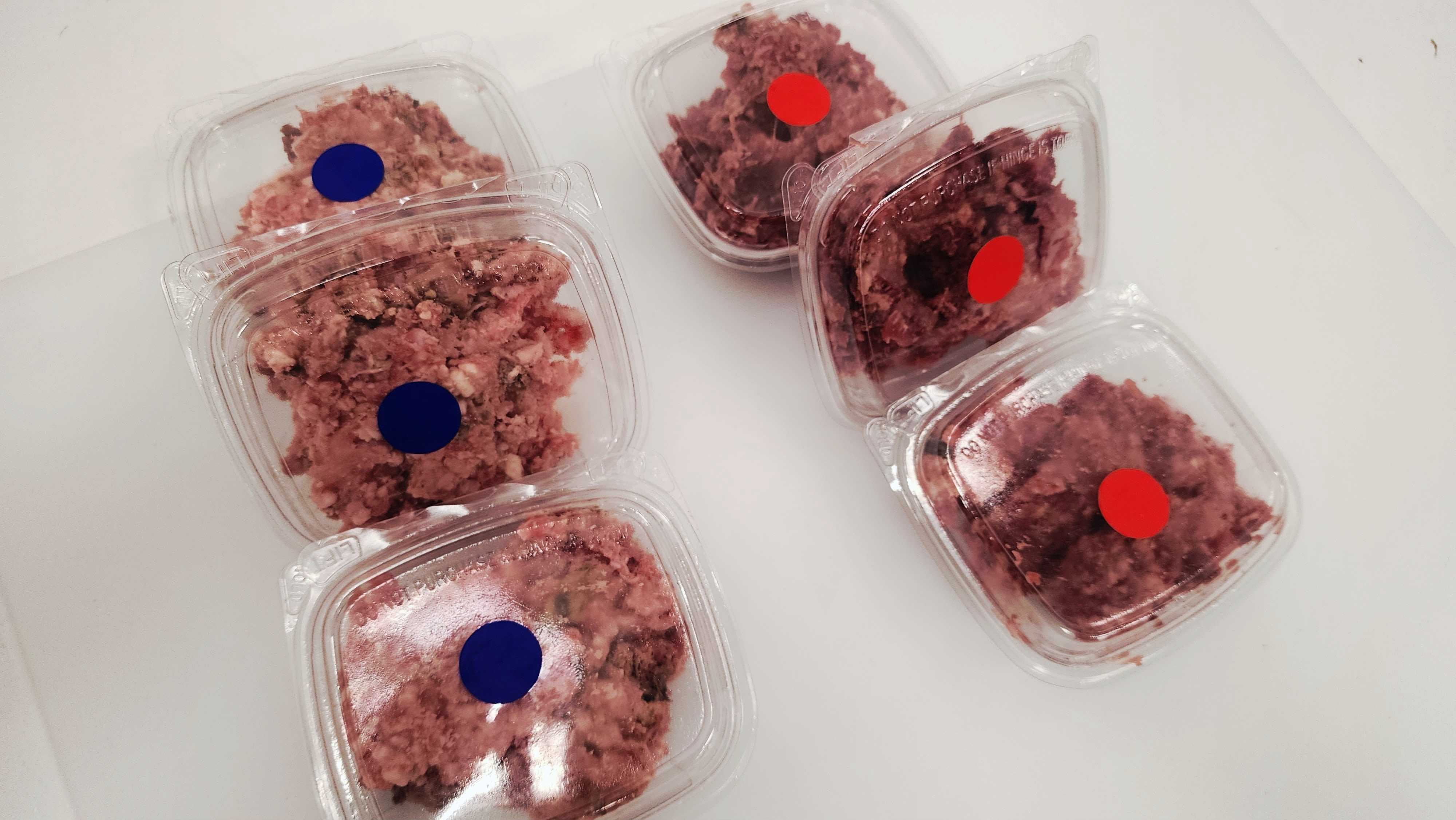 Beef & Turkey Box - Viande hachée de bœuf et dinde - Dee Oh Gee's Raw ...