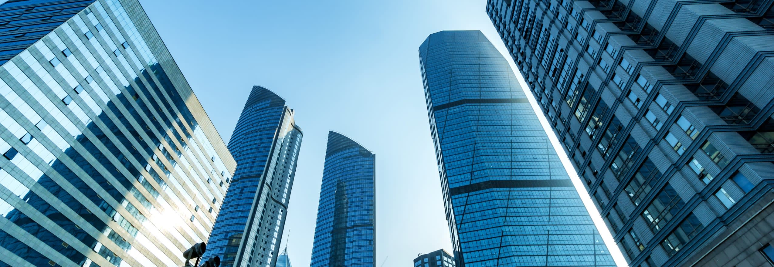 D'ELLGEE Business Solutions | Entrepreneur & Advisor | Houston