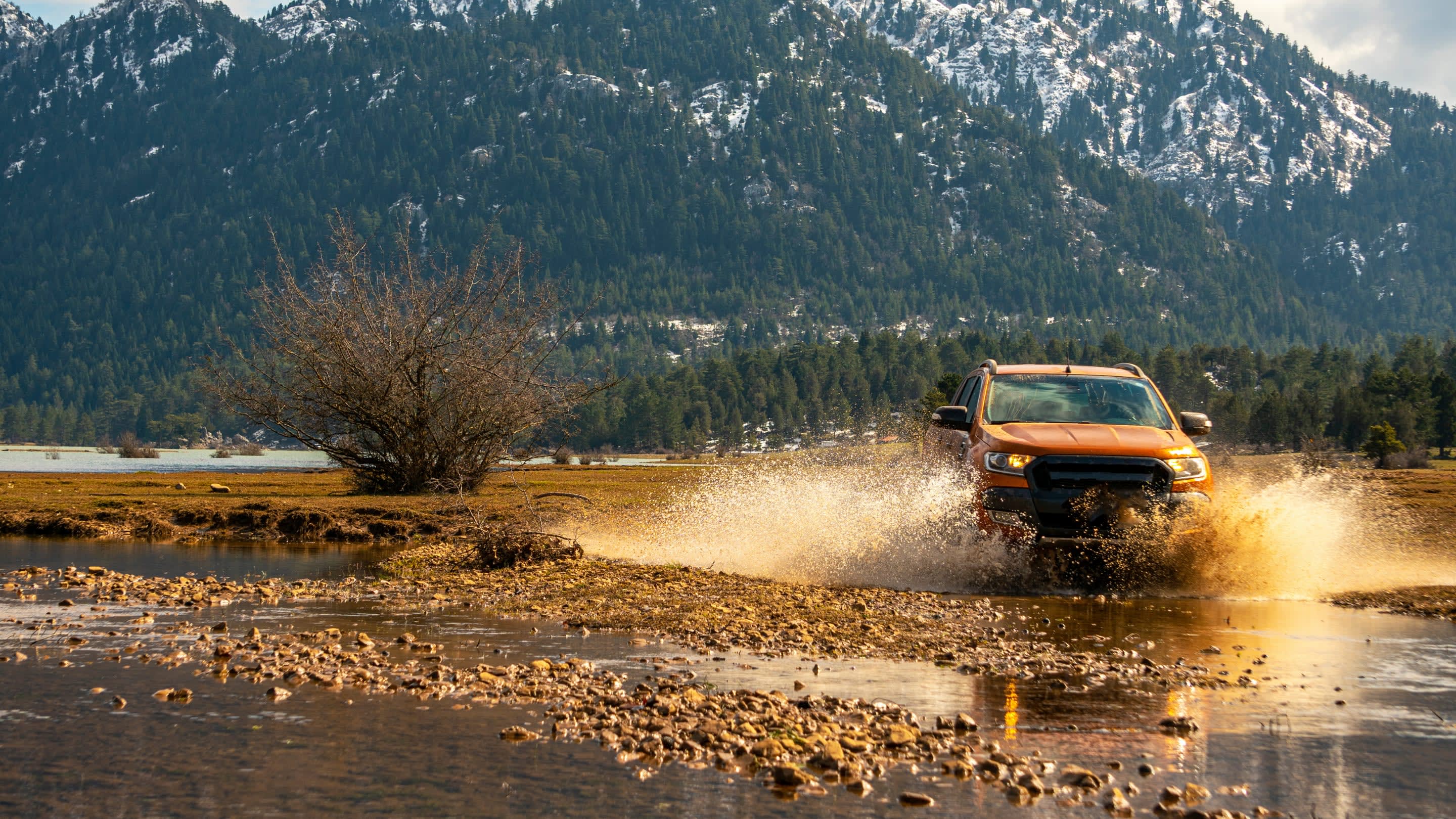 Off-Road Vehicle Repair - Vehicle Repair Services - Nut Offroad ...