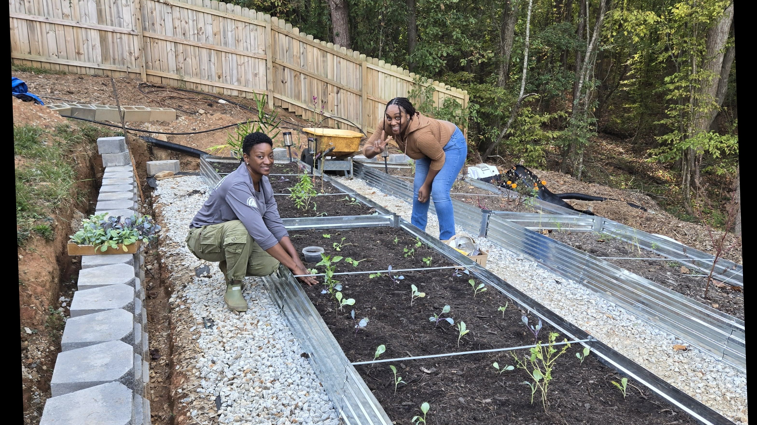 Aya Farms - Rising Sun Development Center | Transforming Communities ...