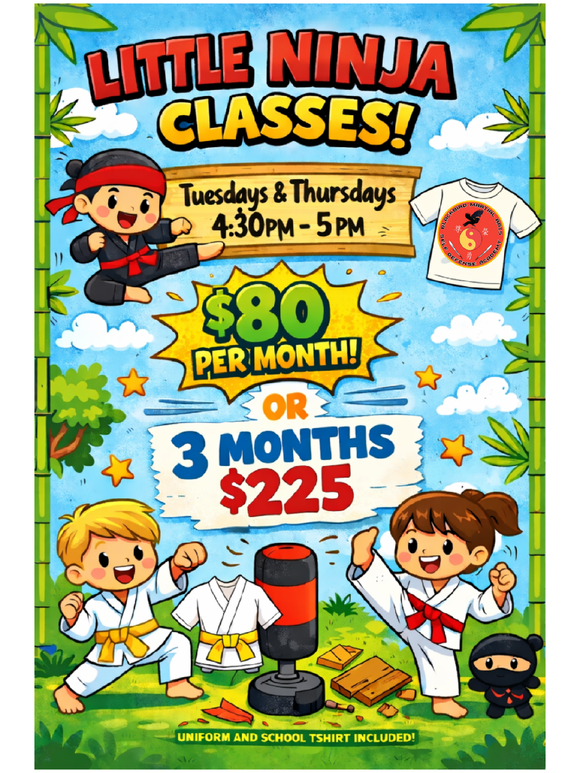 3 month SPECIAL for Little Ninjas! - Classes - BlackBird Fitness ...